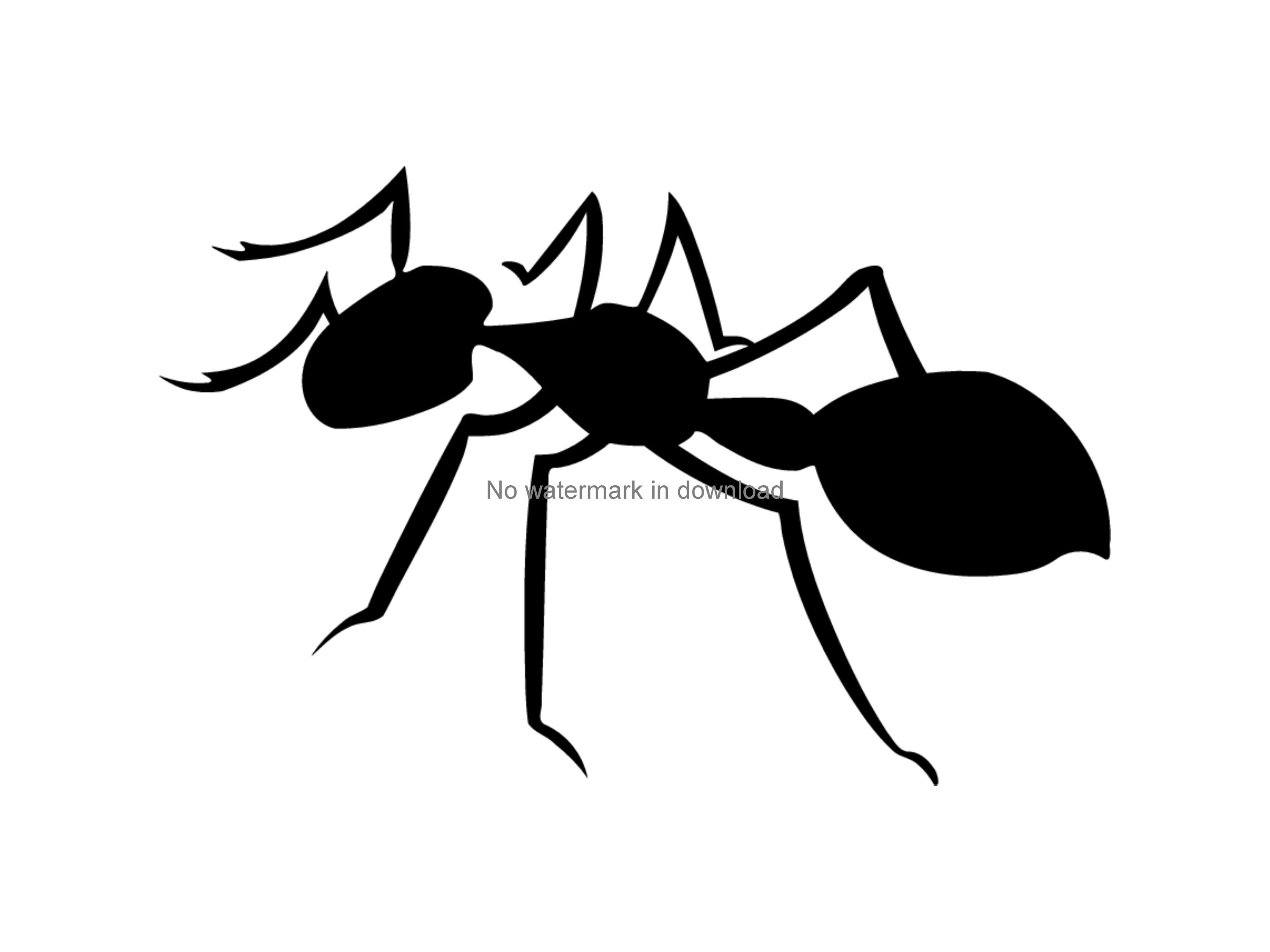 Ant Svg Image Ant Dxf Ant Svg File Ant Digital Clip Art - Etsy Hong Kong
