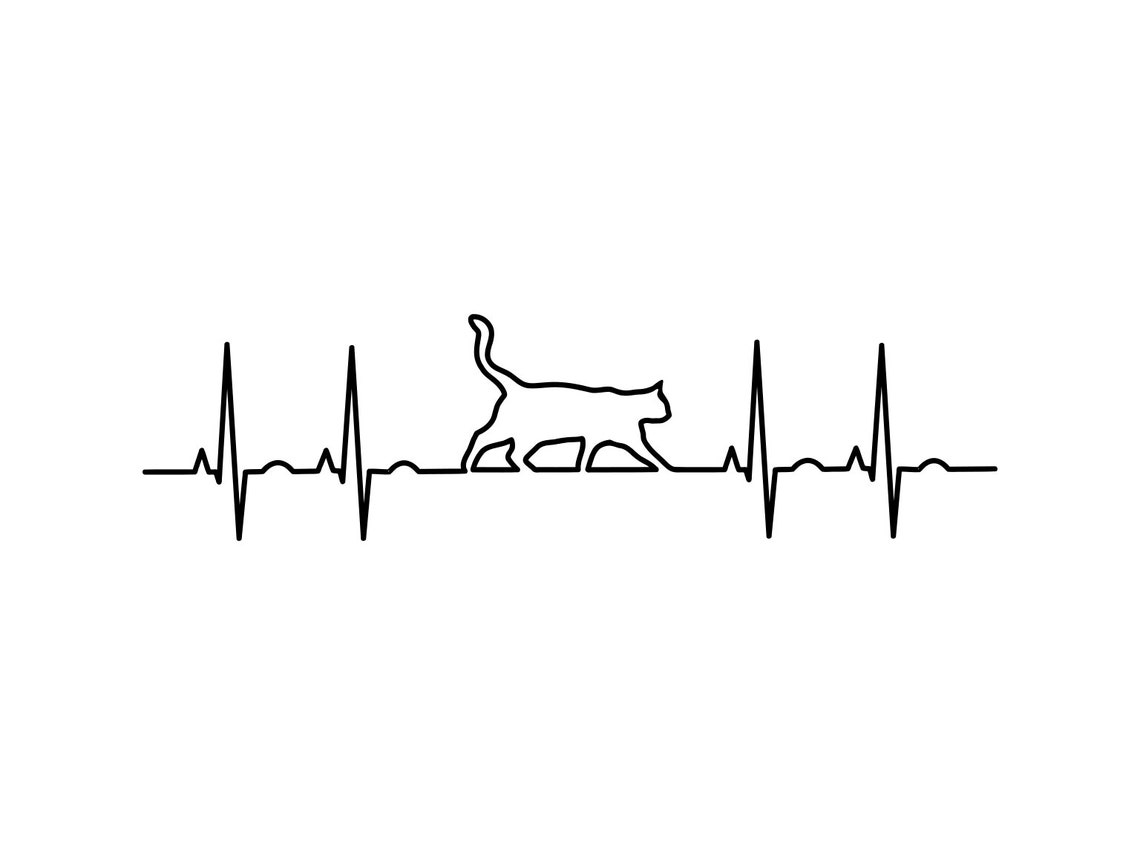 Cat EKG Svg Ekg Svg Cat Silhouette Cutting File Clipart Svg - Etsy Israel