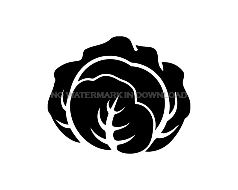 Cabbage Clipart SVG: Vector Image, Cutting File (digital Download) - Etsy