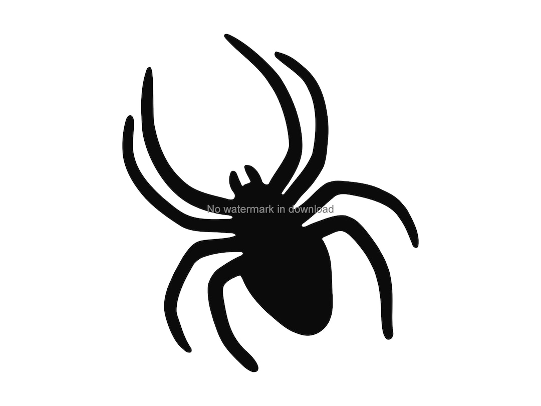 Spider SVG Cut File: T-shirt Design, Engraving (digital Download) - Etsy