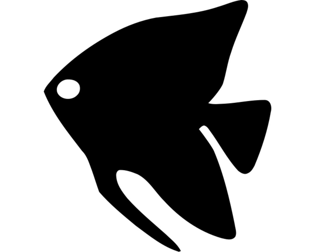 Angelfish Vector Cutting Image Png Angelfish Icon Silhouette Svg ...