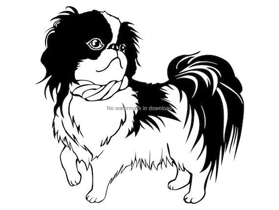 Japanese Chin Svg Files for Cutting Japanese Chin Image File - Etsy