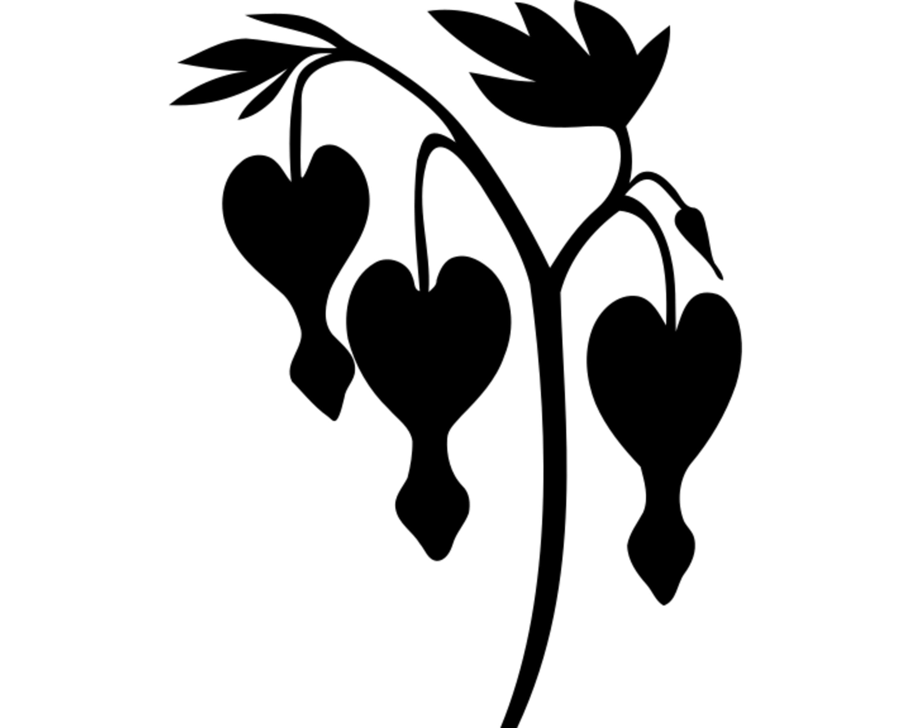 Bleeding Heart Flower Clip Art