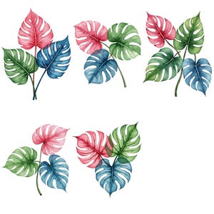 Monstera Leaf Clipart PNG: Digital Art File for DIY Projects - Etsy