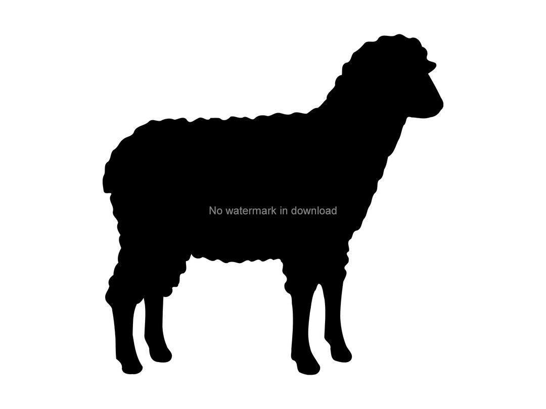 Schapen Svg Snijvijl, Schapen Svg Bestanden, Schapen Scrapbooking ...