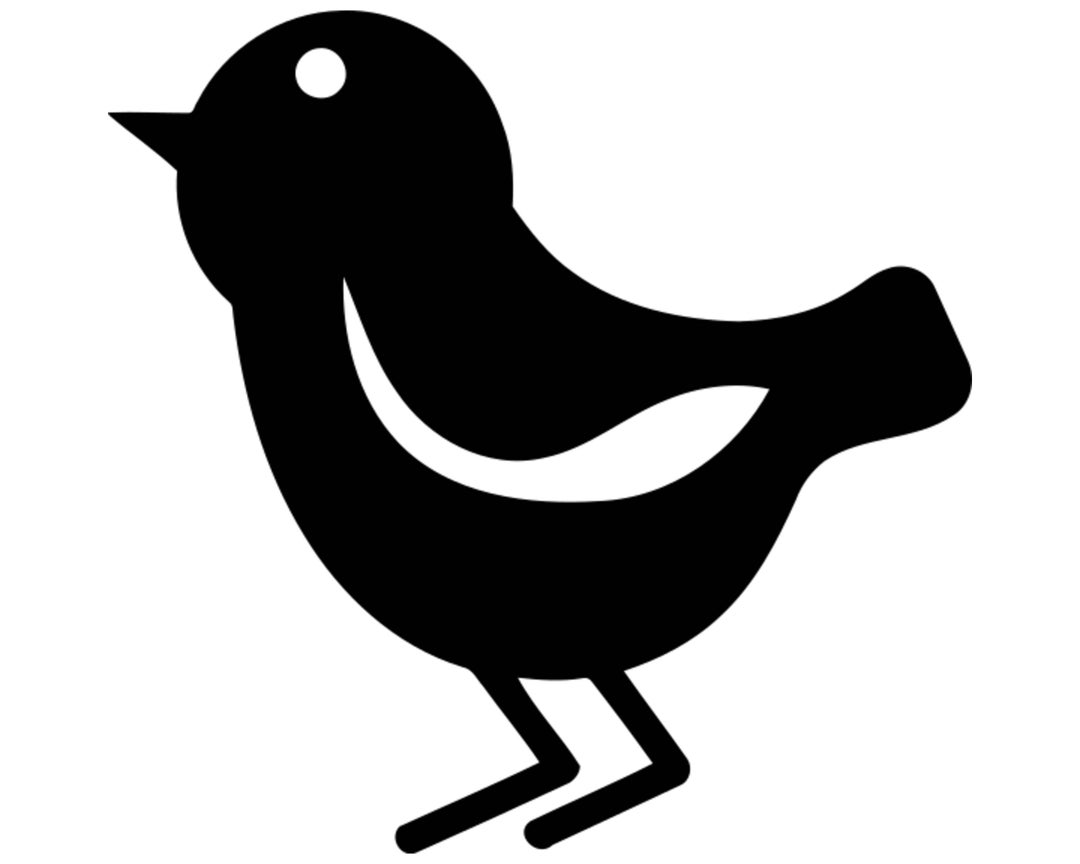 Bird Svg Instant Download Printable Art Bird Picture for Crafting Svg ...