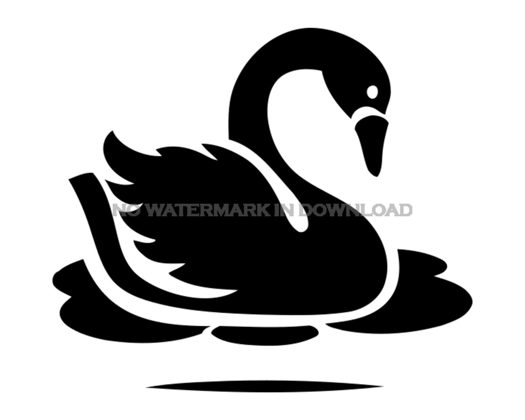 Swan Clipart Image Digital Swan Cartoon Clip Art Swan Graphics Instant Download Etsy