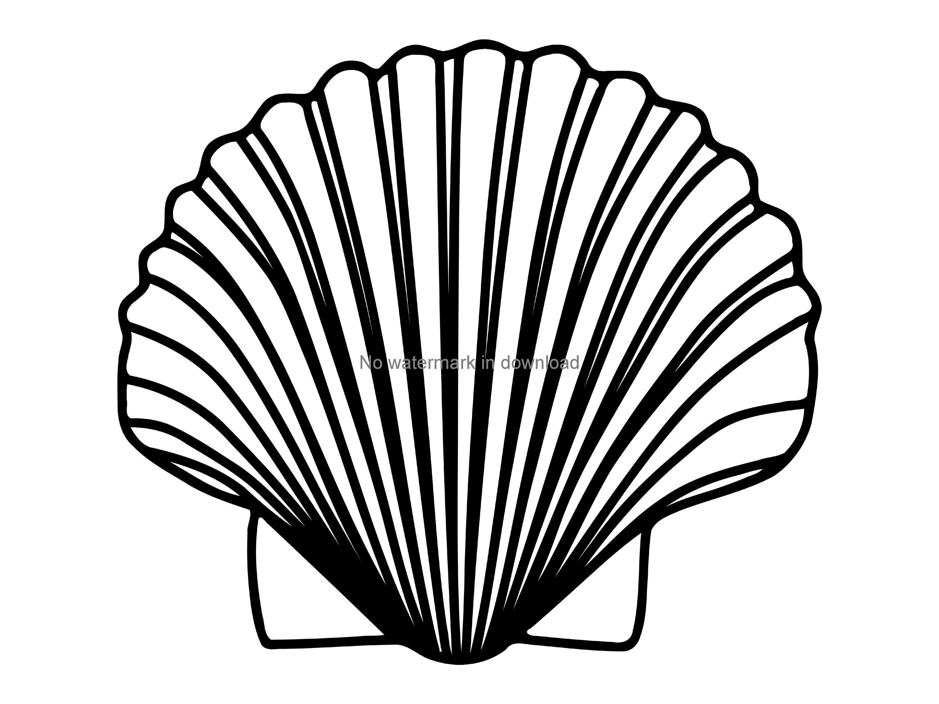 Shell Clip Art Black And White