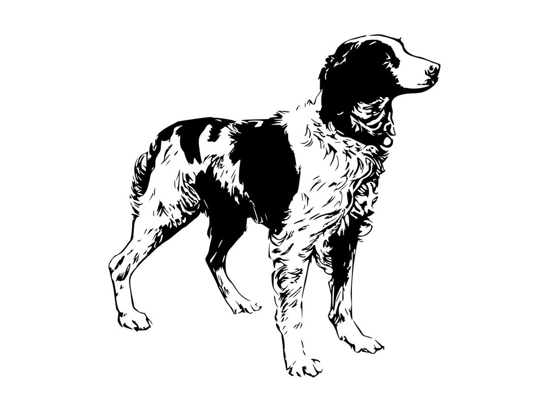 Brittany Spaniel Svg Dog Svg Silhouette Cutting File Clipart Svg Dxf ...