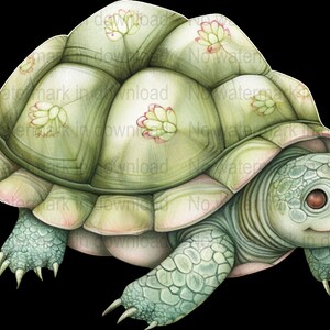 Baby Turtle Clipart, Digital Download, Watercolor Turtles, Printable ...