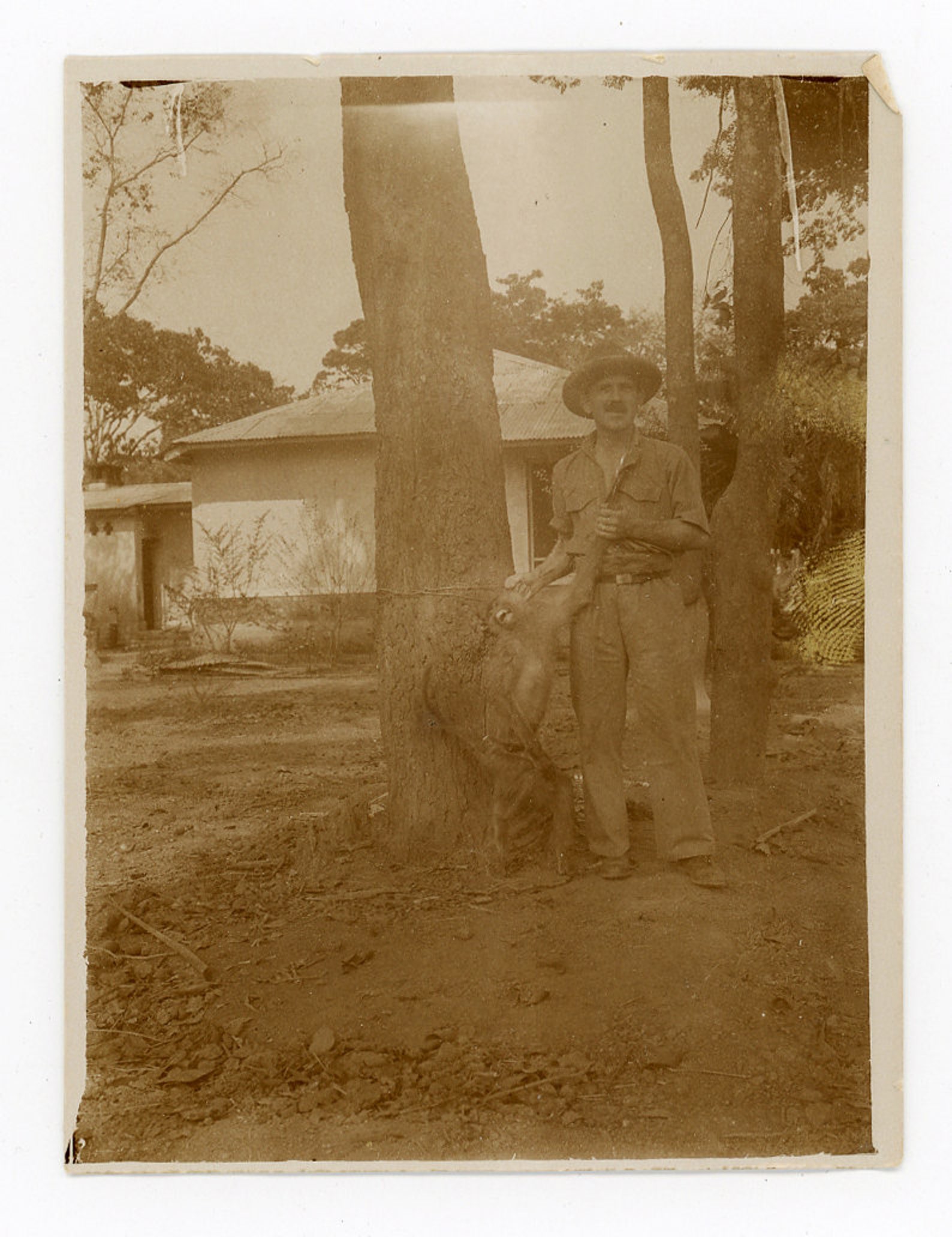 Man With a Monkey Vintage Photo Congo, Africa Wild Animal Around 1930 ...