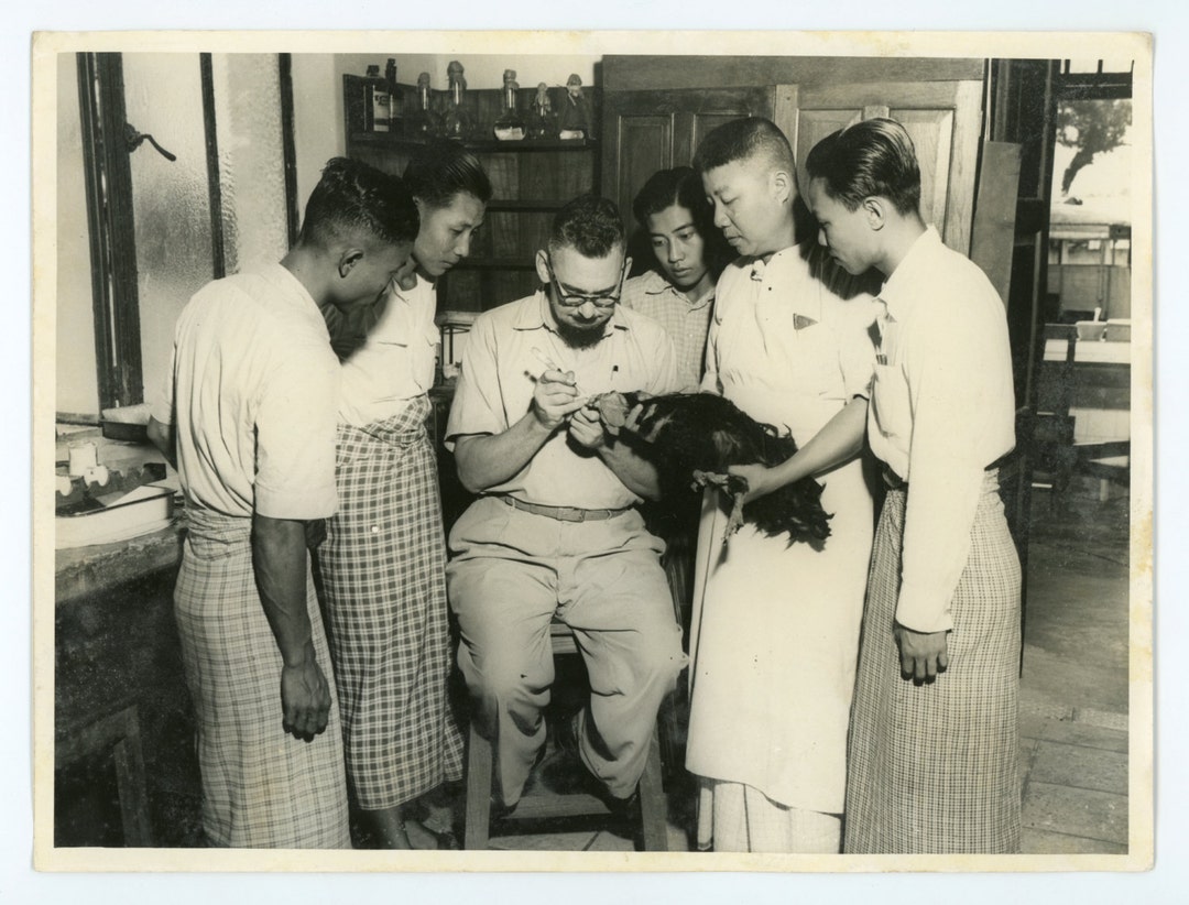 The Technique of Inoculating a Bird- Original 60s Vintage Photo ...