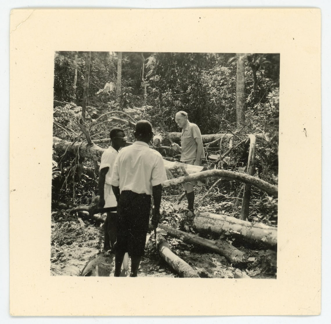 Vintage Photo 'colonial Forestry' Snapshot, Africa Logging, Colonial ...