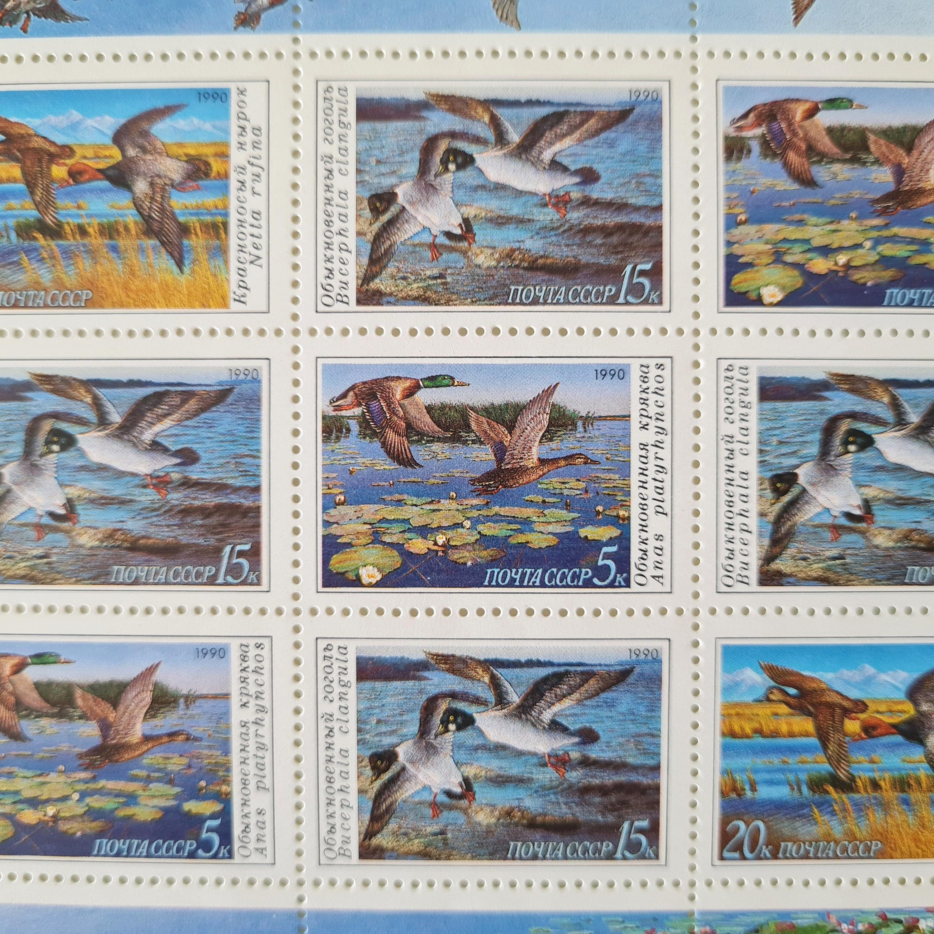Soviet Vintage Colorful Themed Blocks of Stamps With Birds, USSR ...