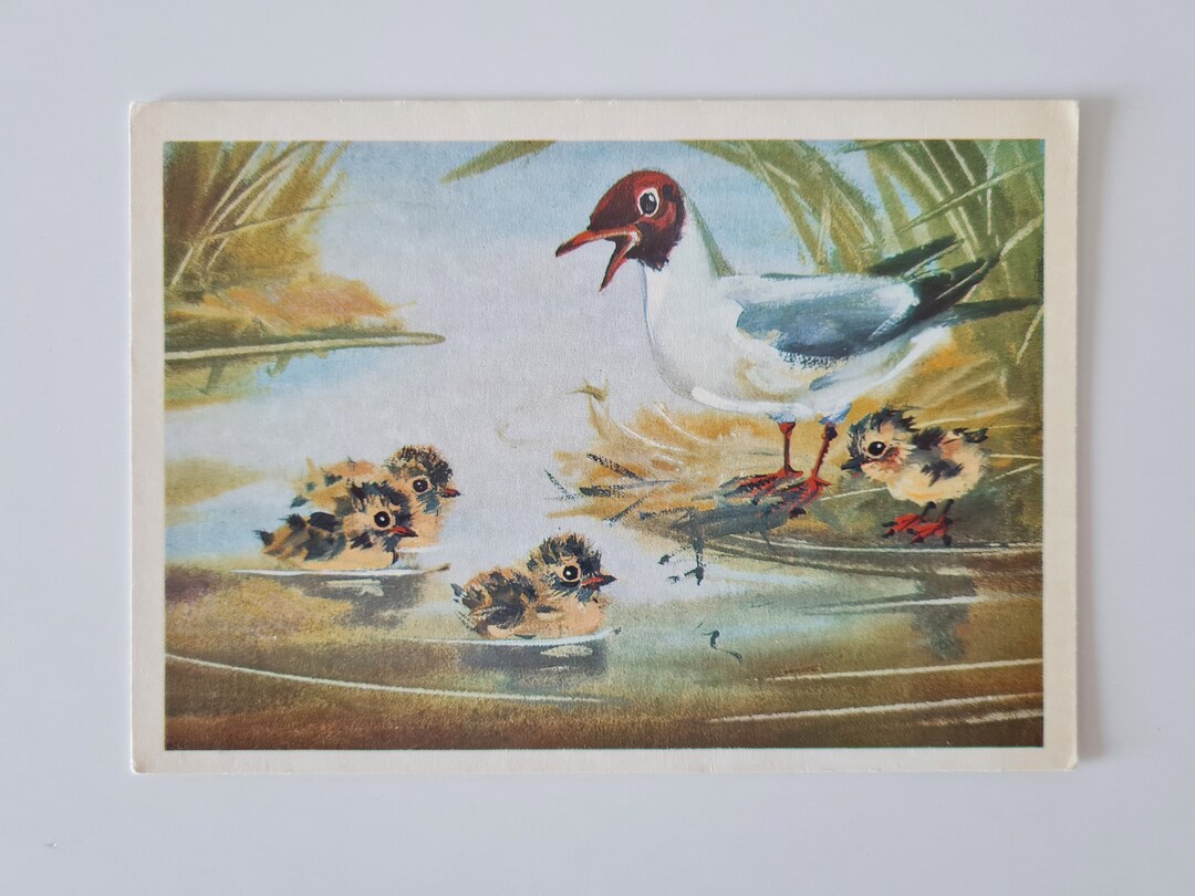 Soviet Vintage Postcard With Birds Soviet Russian Postcard - Etsy