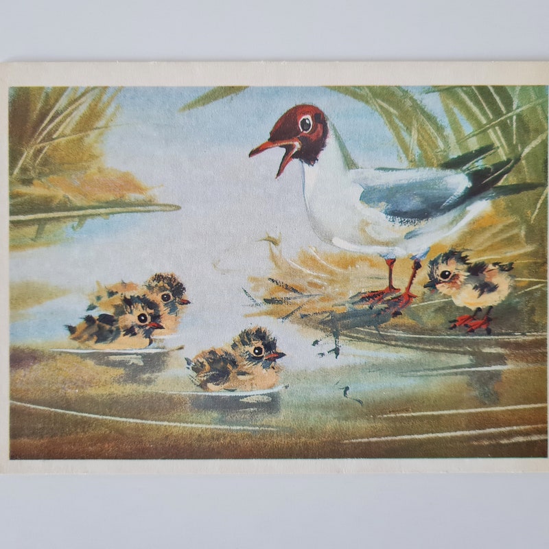 Russian Postcard - Etsy