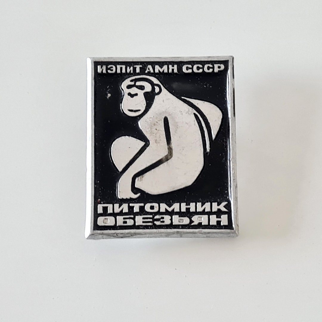 Soviet Vintage Badge Monkey, USSR Badge, Soviet Era Pin, ZOO, Monkey ...