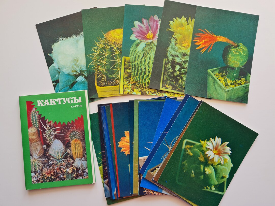 Cacti Postcards, 24 Cactus Photos With Description in Russian and ...