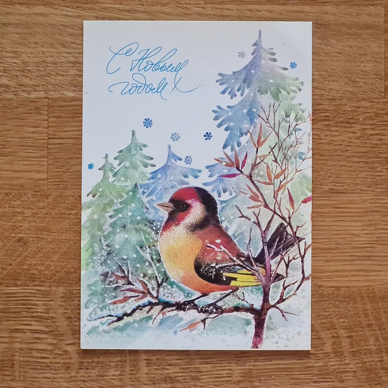 Birds Soviet Postcards - Etsy