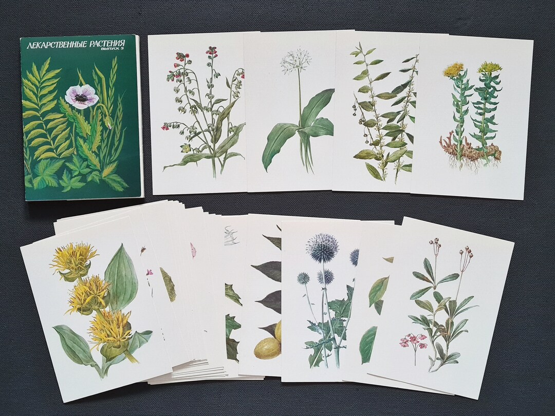 Vintage Botanical Plants Postcards in Large Format, Botany Herb ...