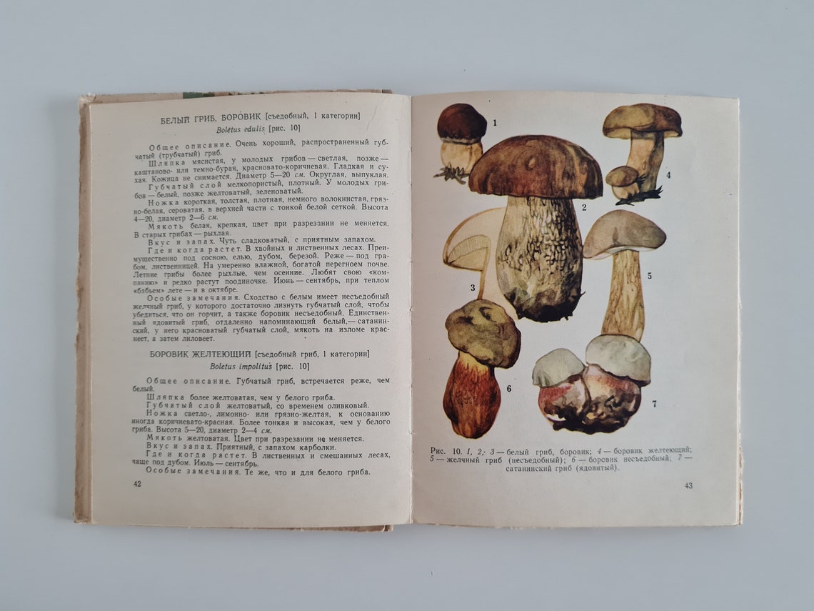 Vintage Mushroom Book Mushroom Reference Book with pictures | Etsy