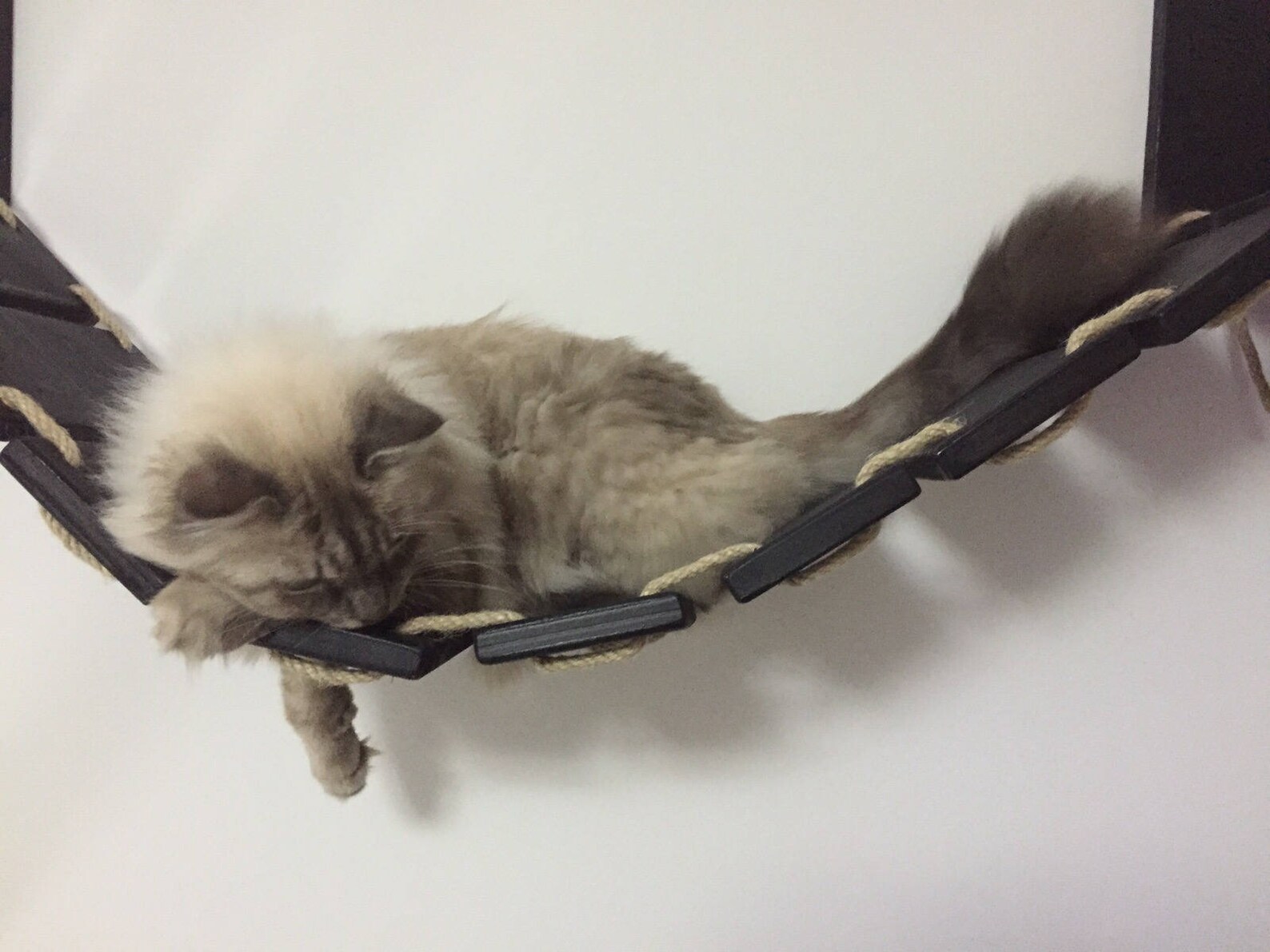 Cat bridge with carved paws Cat furniture AthletiCat | Etsy