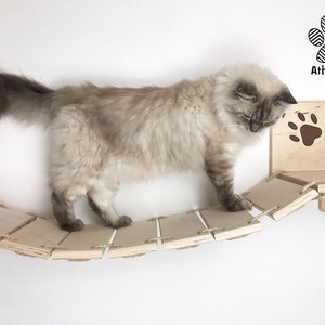 Cat Bridge With Carved Paws Cat Furniture Athleticat Made in Italy - Etsy