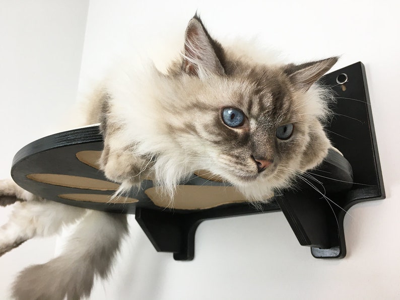Round Cat Shelf With Carved Paw Cat Furniture Athleticat - Etsy