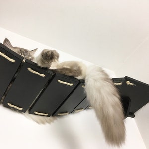Cat Bridge Cat Furniture Athleticat Made in Italy - Etsy