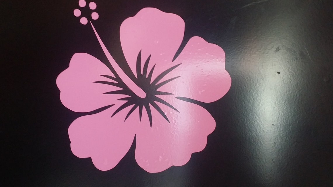 Hibiscus Decal Hibiscus Sticker Flower Sticker Hibiscus - Etsy