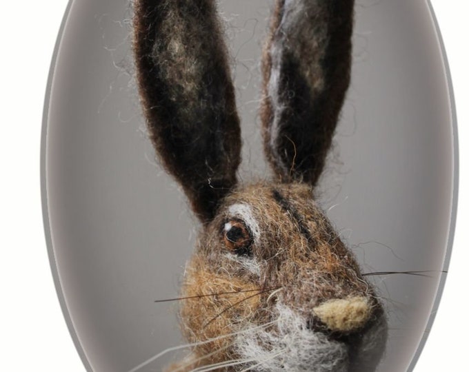 Needle Felt a Hare Kit With Online Video Tutorial - Etsy