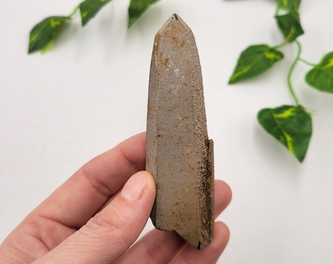 Natural Black Quartz Point With Gray Coat. Inner Mongolia, China. 100% ... Natural Black Quartz Point With Gray Coat. Inner Mongolia, China. 100% ...