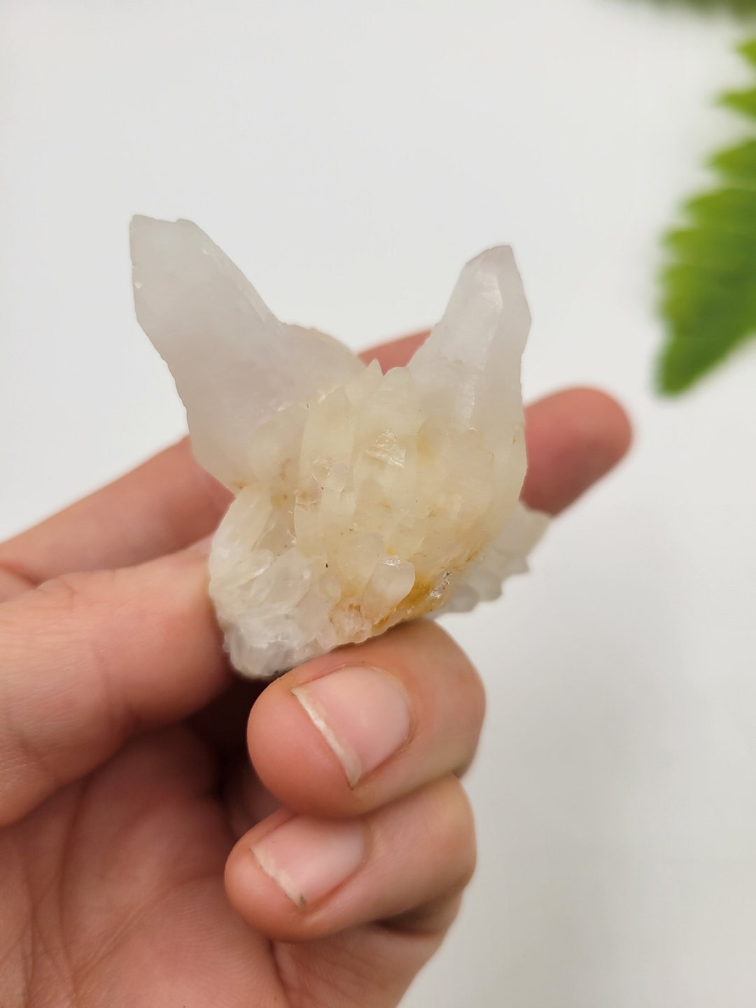 Rare Bulgarian Quartz Natural Cluster. Bulgaria. Madzharovo Quartz ...