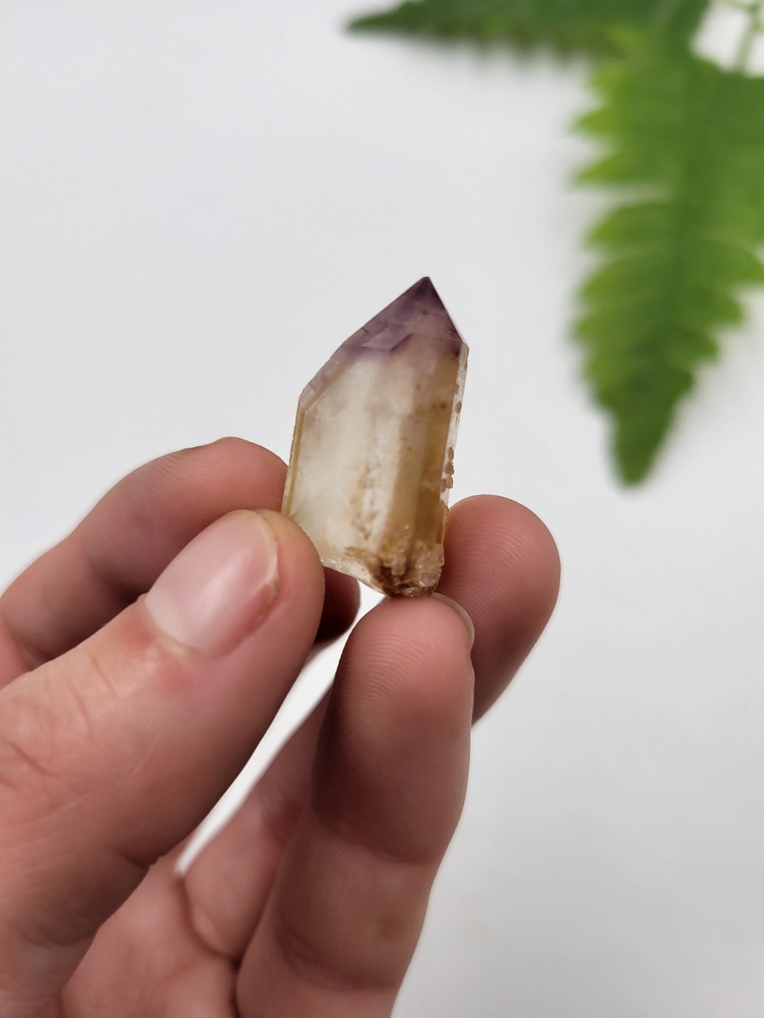 Rare Dreamcoat Amethyst Lemurian Quartz Point. 100% Natural Raw ...