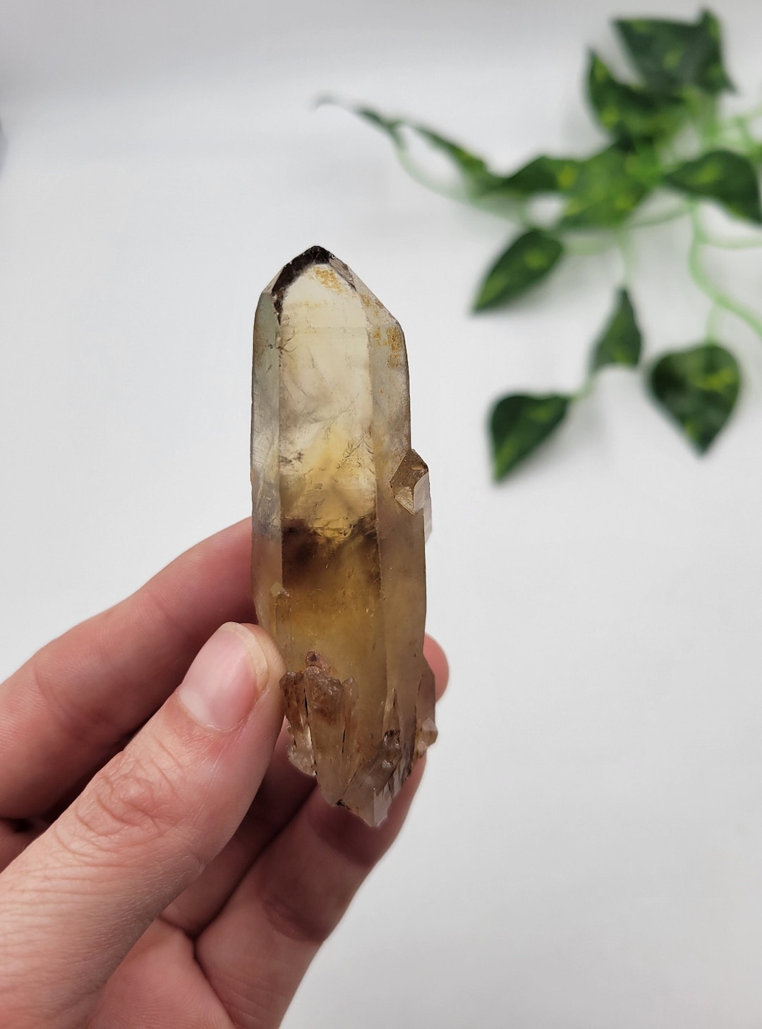 Nigerian Citrine Point. Smoky Phantom Citrine. 100% Natural. Raw ...