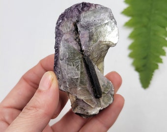 Raw Mica Set. Lepidolite, Muscovite, & Window Lepidolite. Natural ...