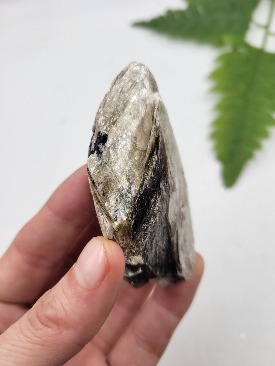 Raw Yellow Mica With Black Tourmaline. Muscovite/golden Mica Blade With ...