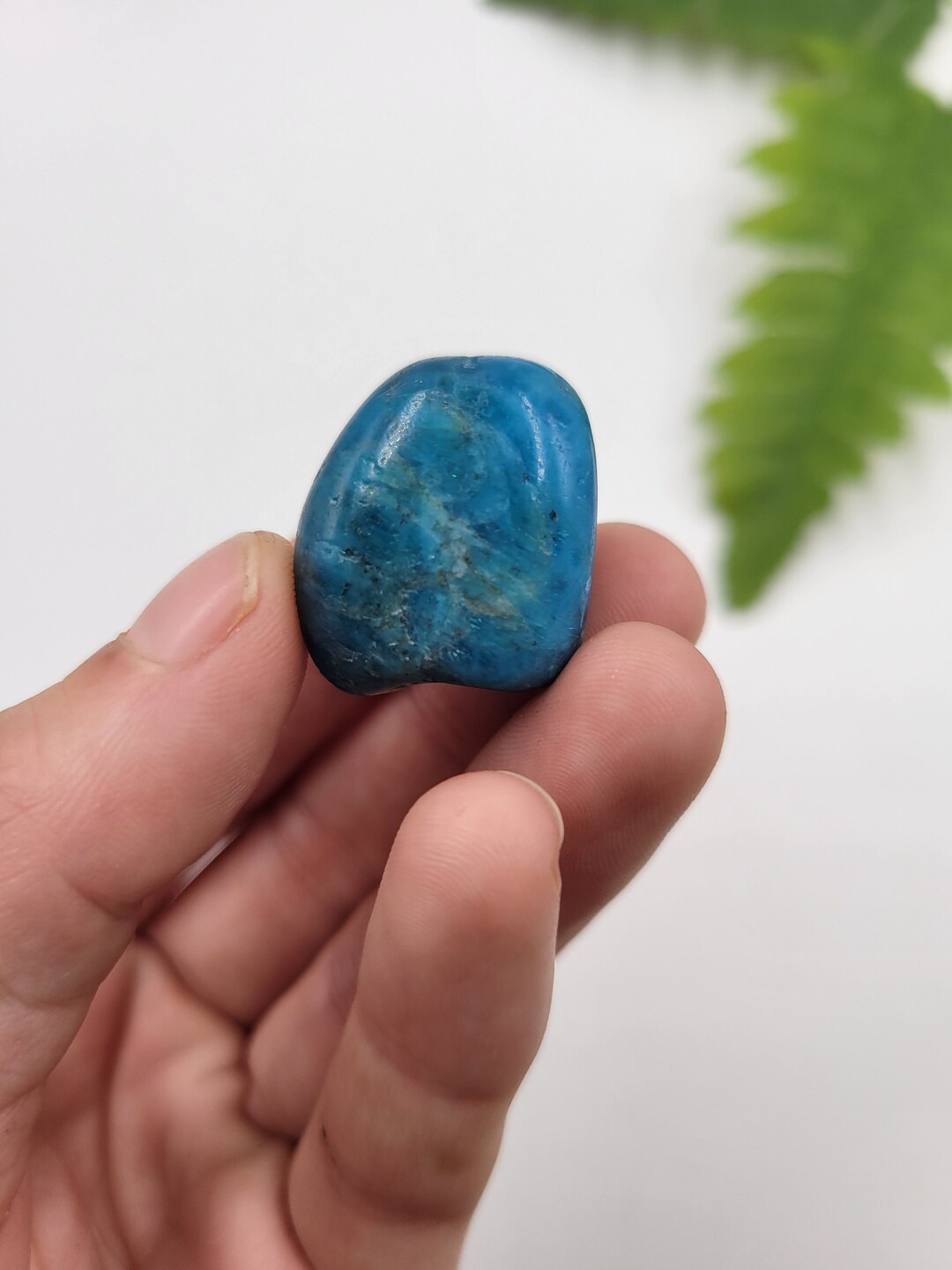 Tumbled Blue Apatite Specimen: Natural Vibrant Coloring - Etsy