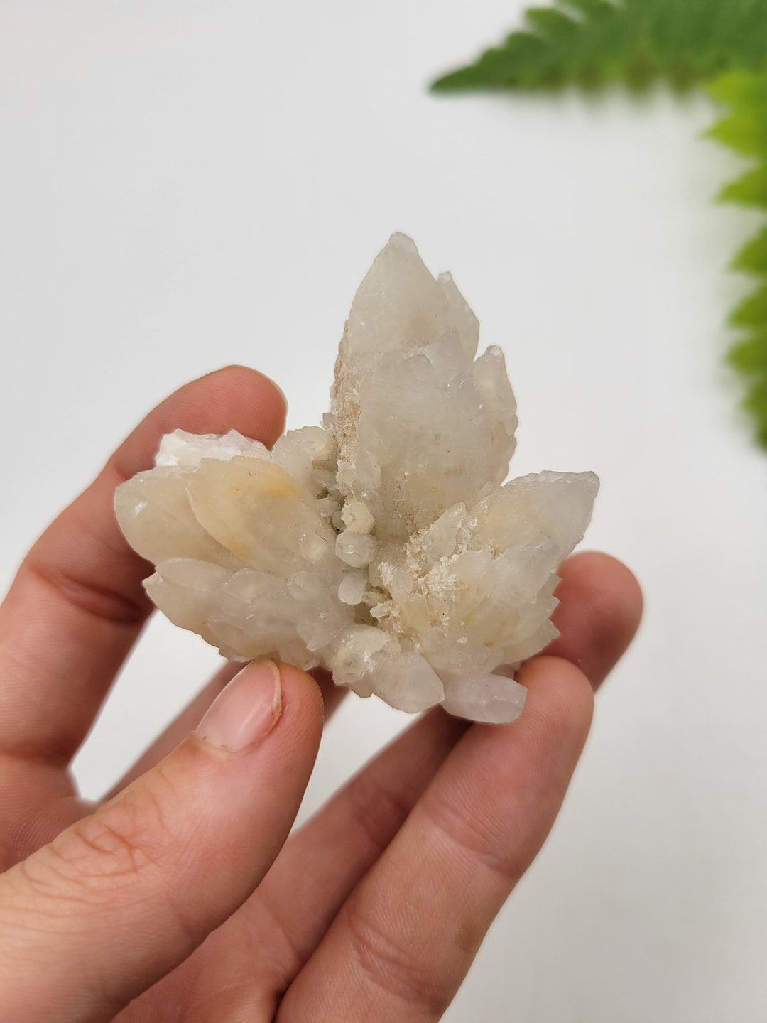Rare Bulgarian Quartz Natural Cluster. Bulgaria. Madzharovo Quartz ...