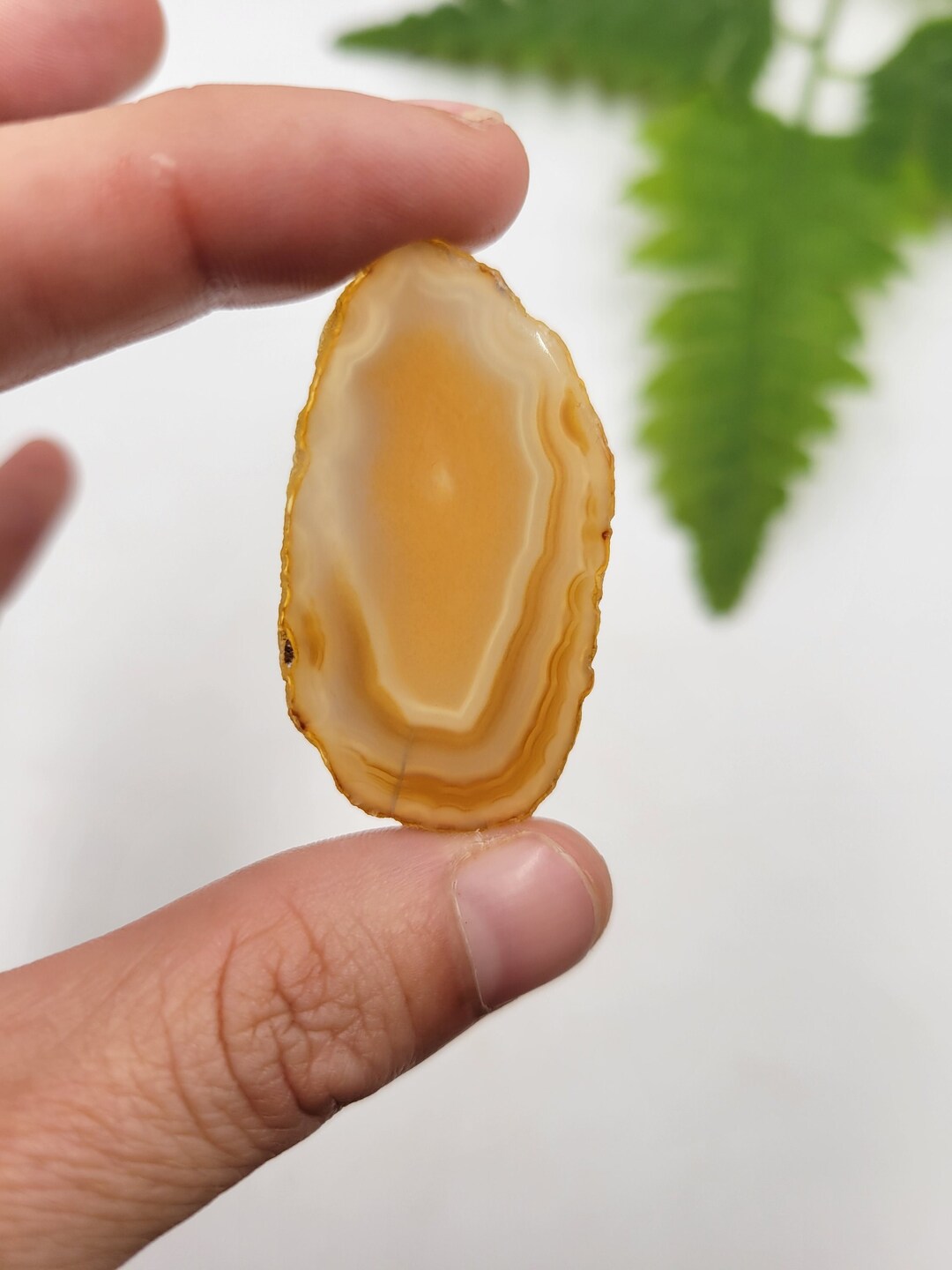 Orange Agate Slab. Orange Agate. 100% Natural Coloring. Polished Orange ...