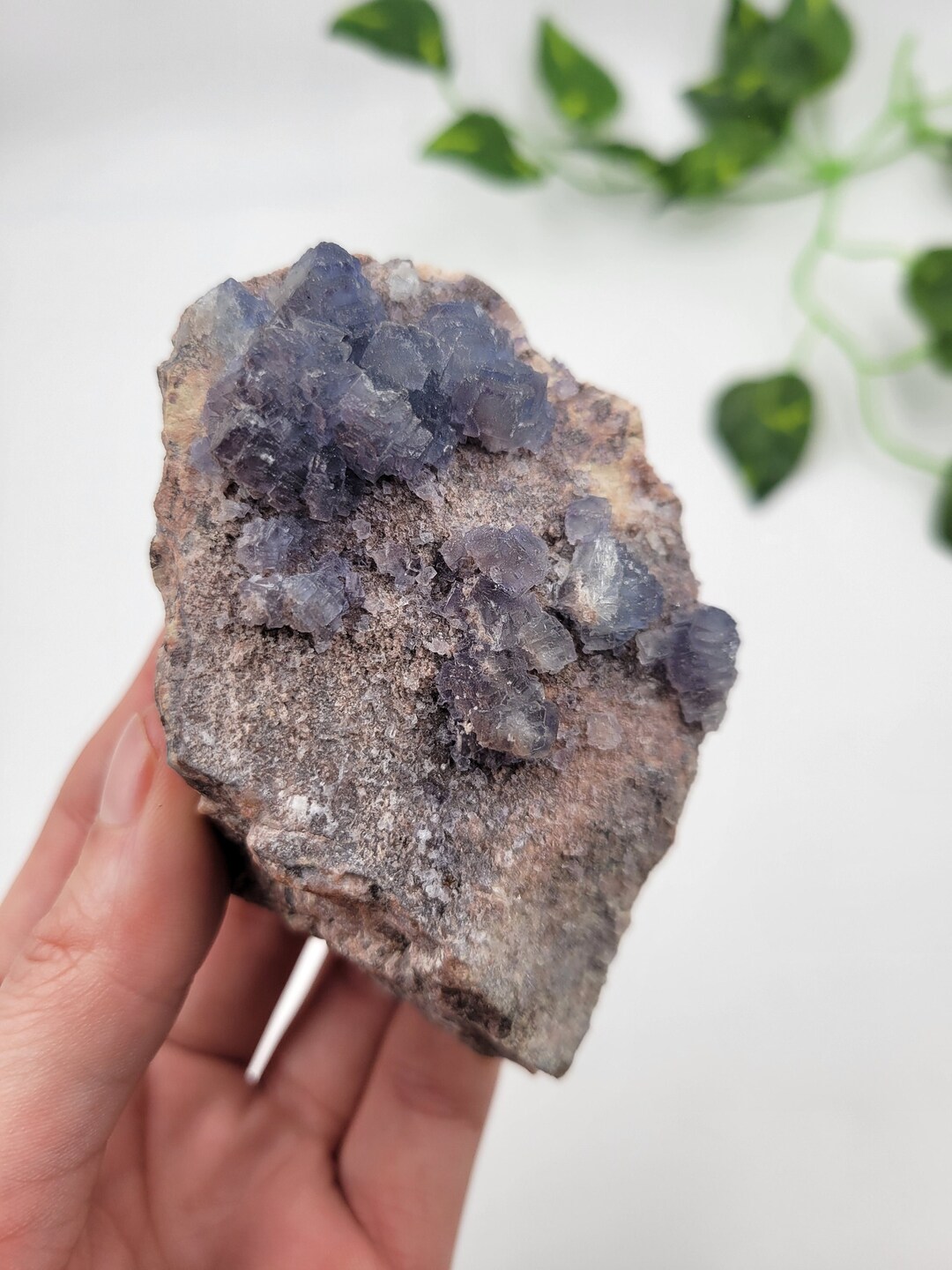Raw Blue Fluorite on Matrix: Highland Mary Mine, New Mexico - Etsy