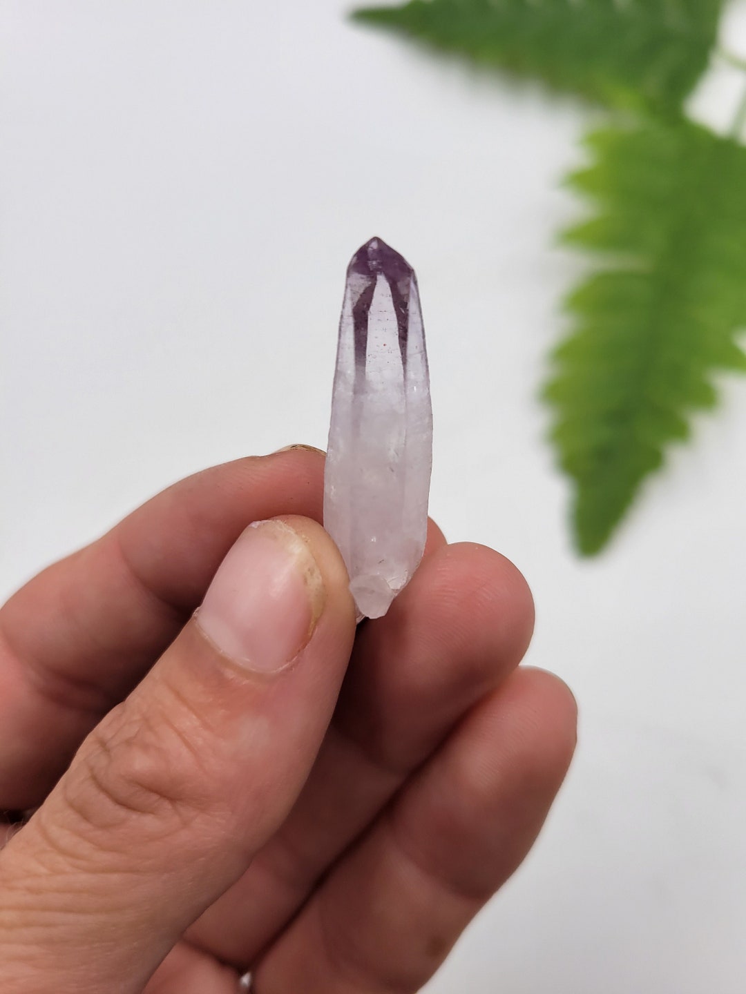 Vera Cruz Amethyst Point. 100% Natural Termination. Quality Amethyst ...