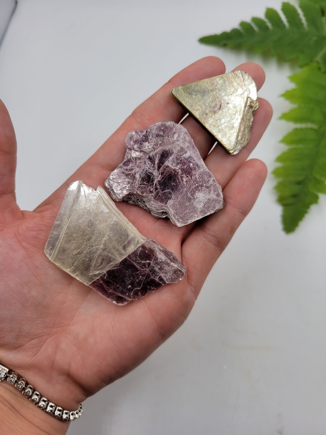 Raw Mica Set. Lepidolite, Muscovite, & Window Lepidolite. Natural ...