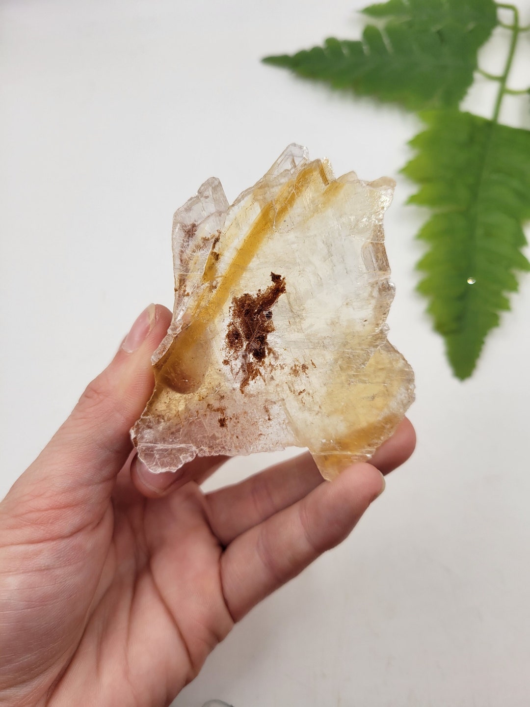 Ice Selenite Blade. Utah. Raw Selenite. Golden Selenite. 100% Natural ...