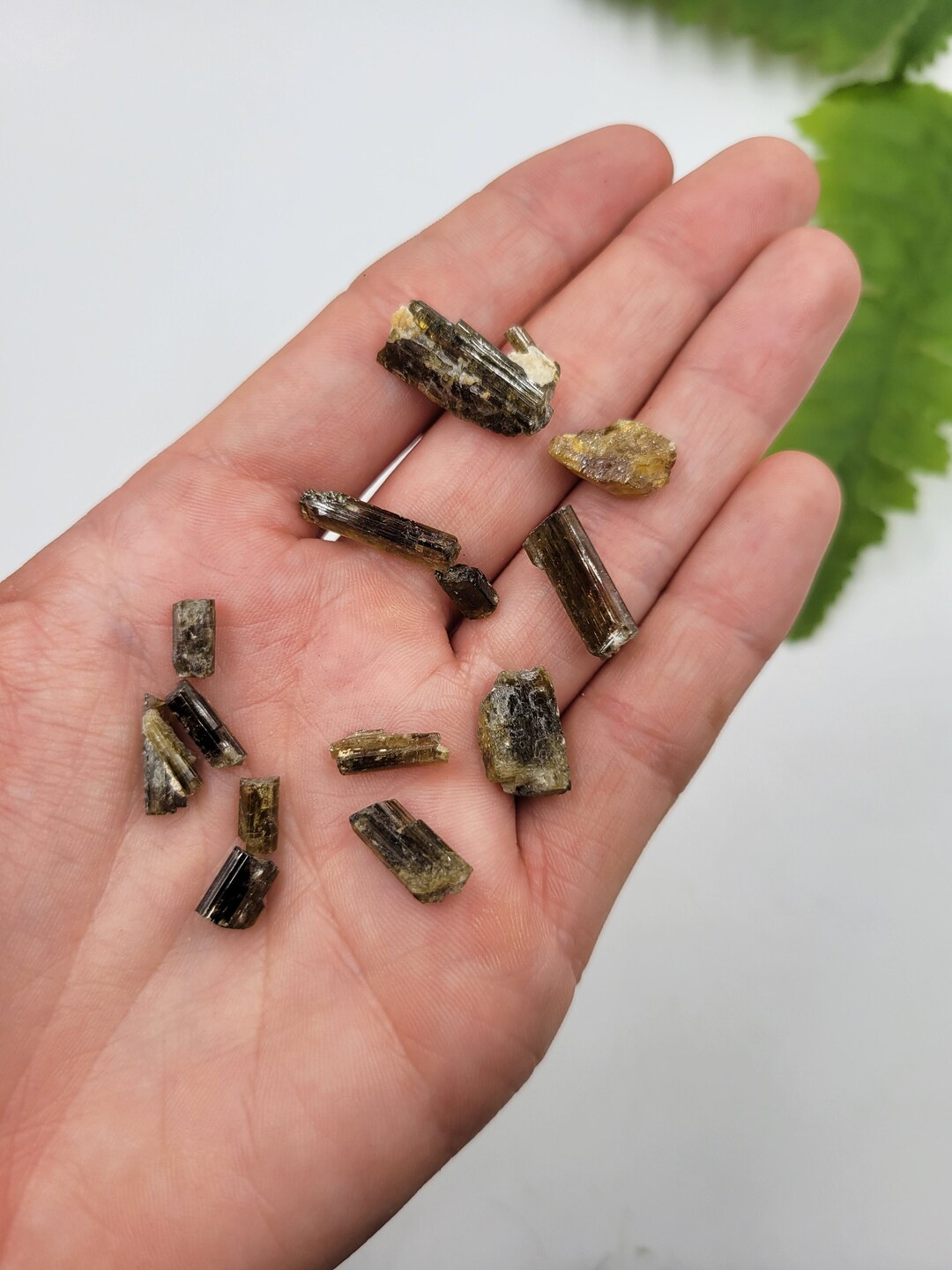 Gem Epidote Set. Epidote Specimens. Raw Epidote. 100% Natural Formation ...