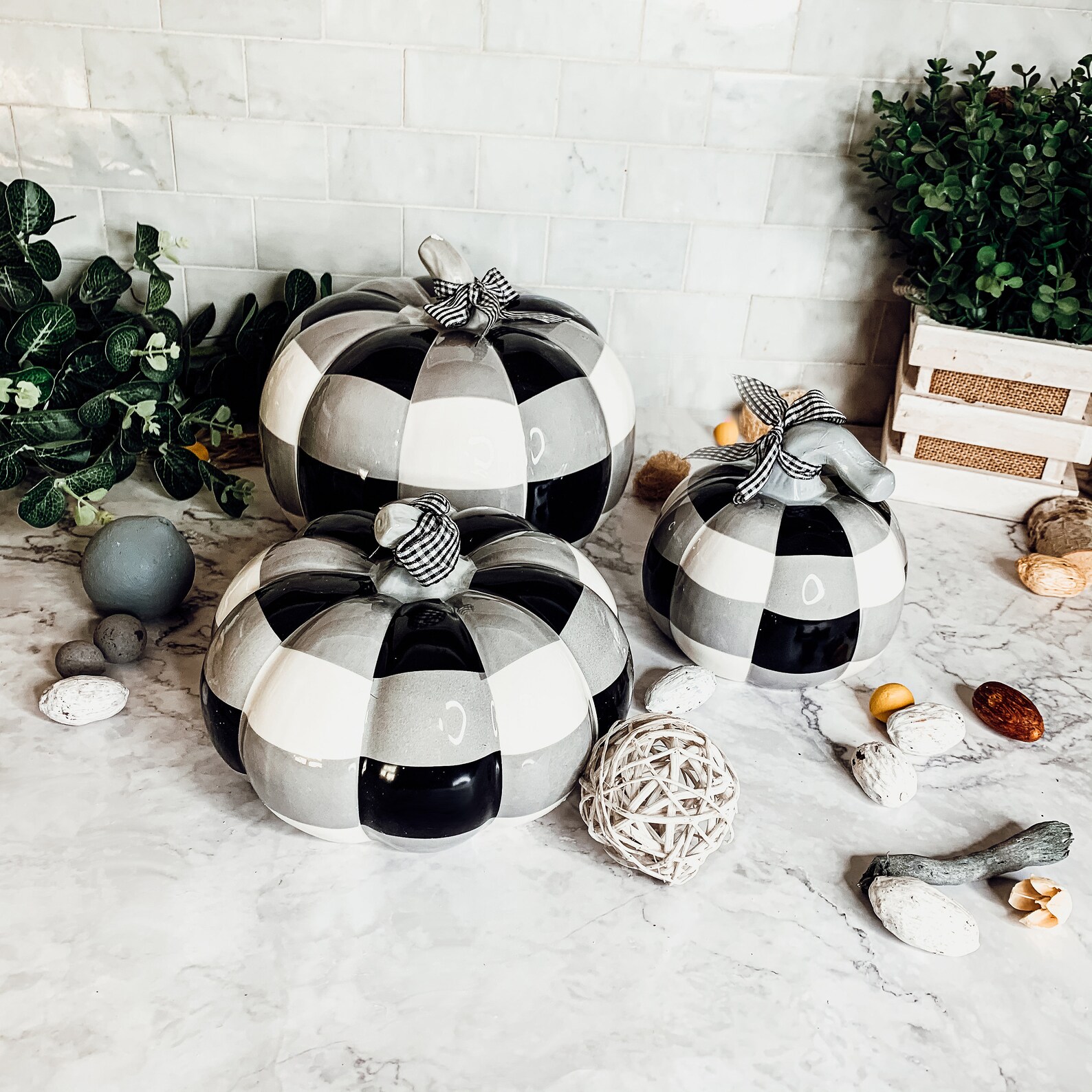Buffalo Check Hand Painted Pumpkins, 3 Sizes, Black and White Pumpkin ...