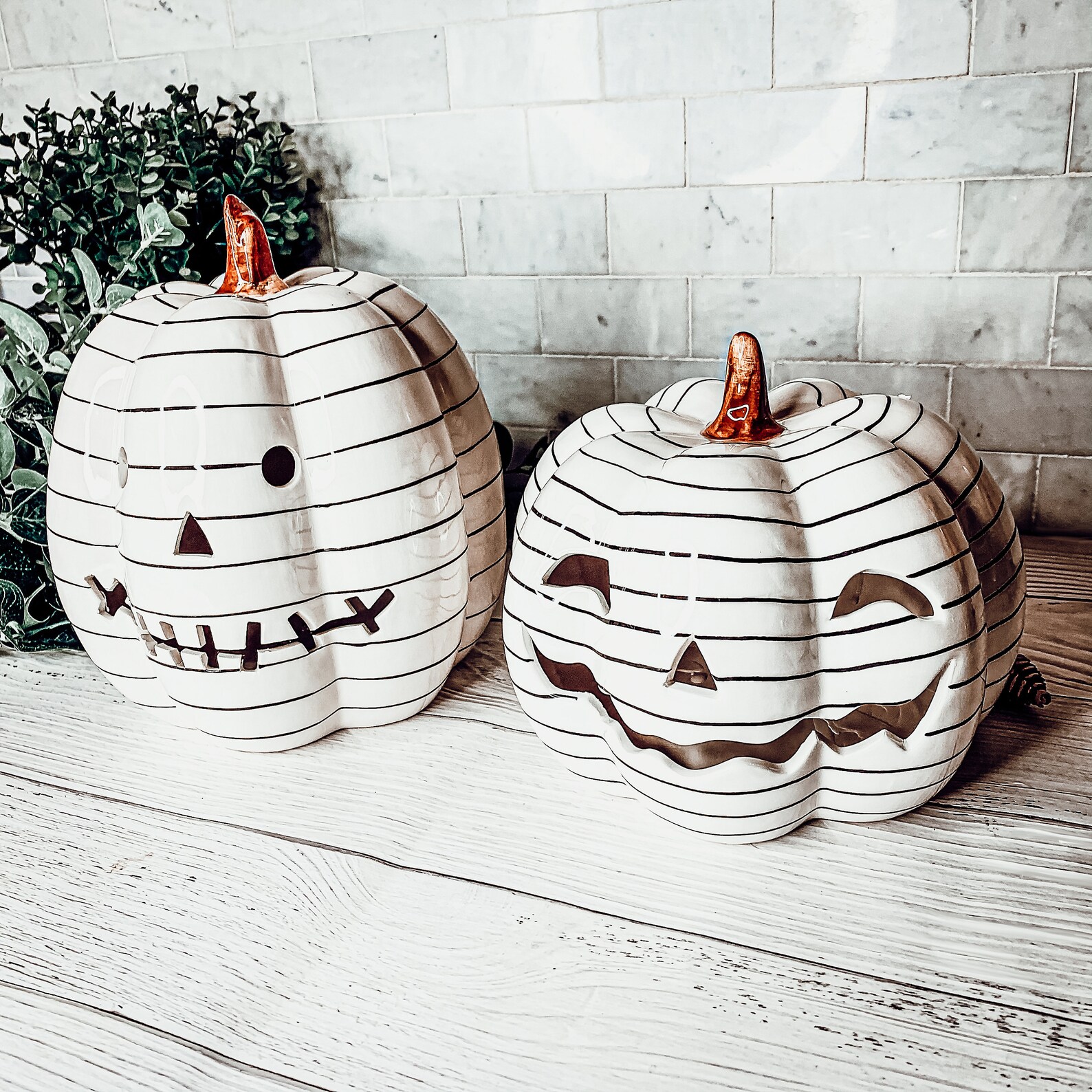 Light up Pumpkins, Black and White Pumpkin Decor, BW Modern Halloween ...