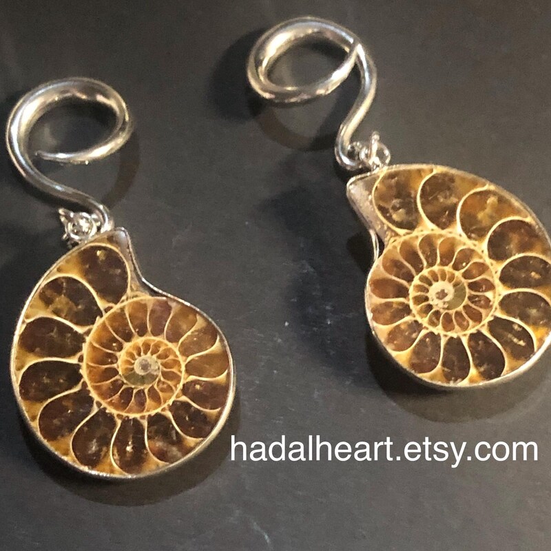 Ear Weights Seashells - Etsy