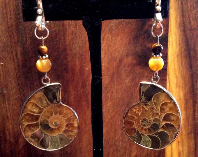 Ammonite Fossil and Tiger Eye Pair of Earrings for Stretched - Etsy