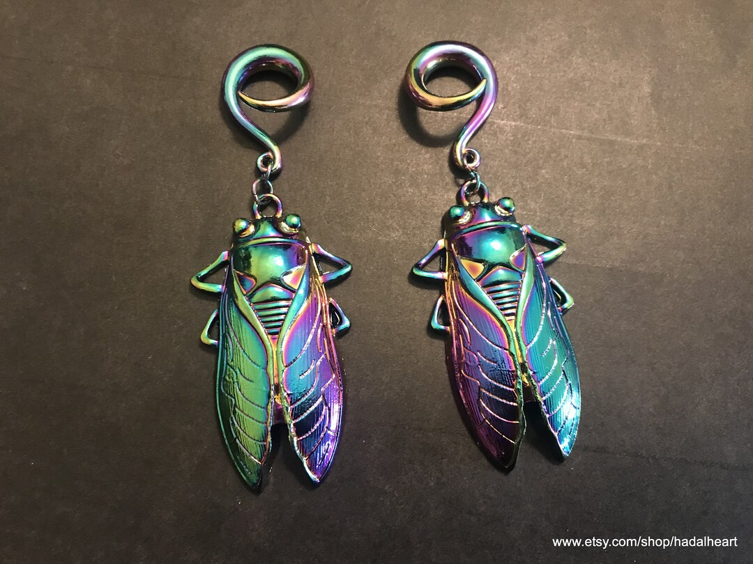 Large Rainbow Cicada Ear Weights/earrings for Stretched Ears 2g - Etsy